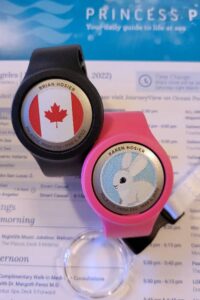 A Step-By-Step Guide To The Ocean Medallion - Forever Karen
