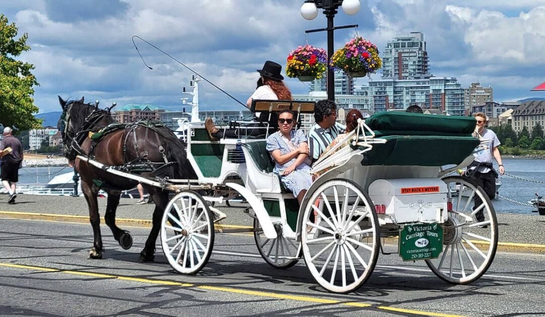 Victoria Cruise Port: What To Do In BC's Vibrant Capital? - Forever Karen