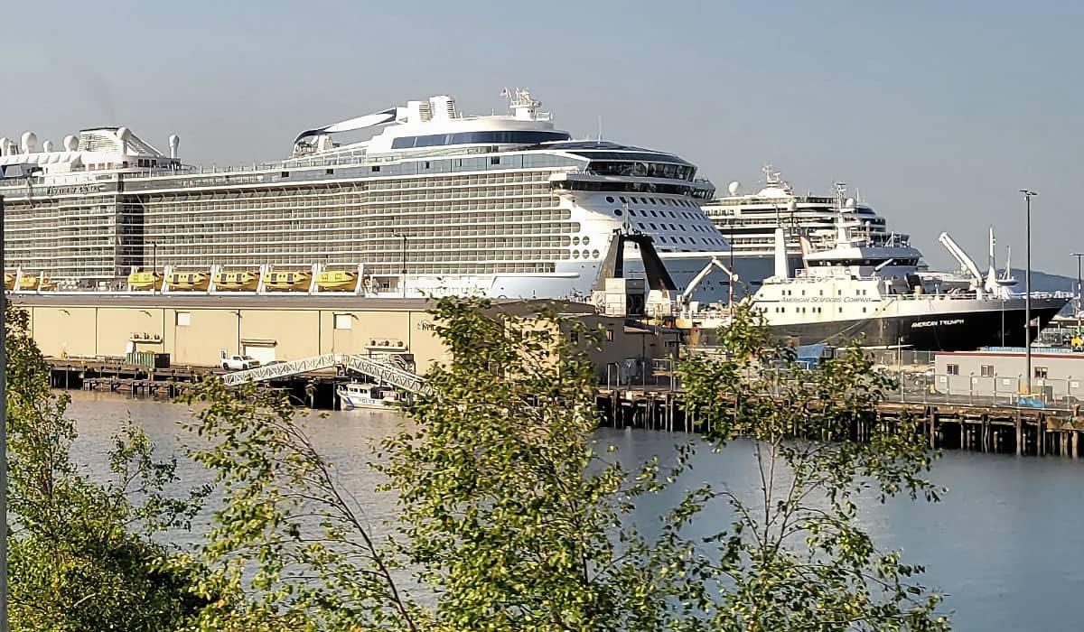 Seattle Cruise Terminal: What To Do In This PNW Port - Forever Karen