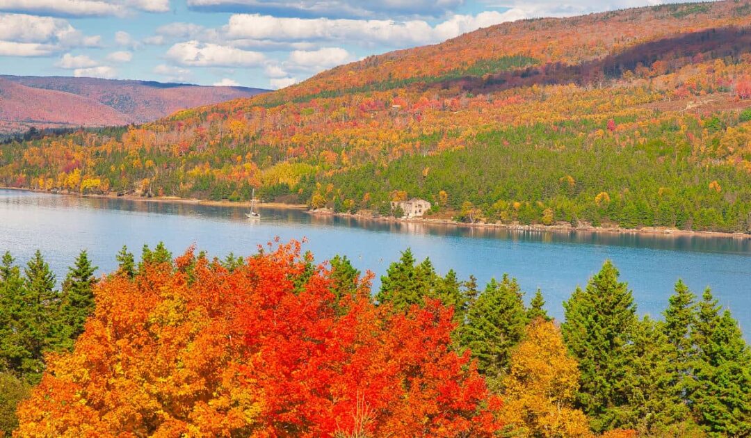 Cruises To Nova Scotia: Routes, Ports, And Top Experiences - Forever Karen