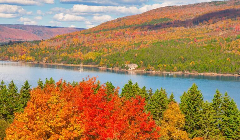 Cruises To Nova Scotia: Routes, Ports, And Top Experiences - Forever Karen